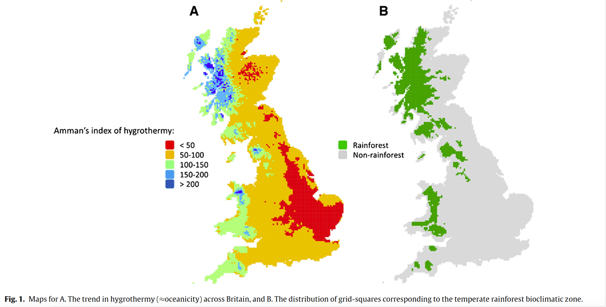 What is a temperate rainforest? – Lost Rainforests of Britain