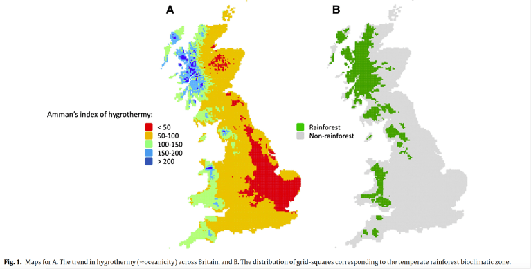 What is a temperate rainforest? – Lost Rainforests of Britain