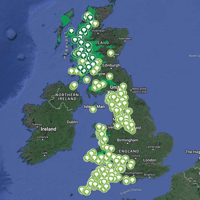 Lost Rainforests of Britain