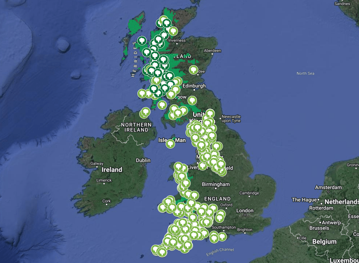 Public create map of Britain’s lost rainforests – Lost Rainforests of ...
